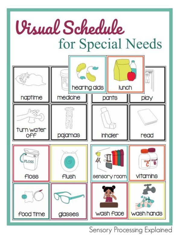 The Sensory Resource Collection - Sensory Processing Explained
