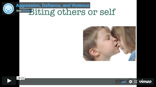 Aggression, Defiance, and Violence - Sensory Processing Explained