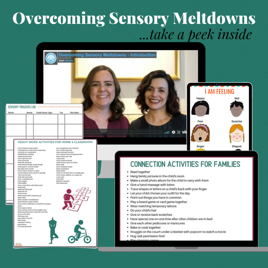 Overcoming Sensory Meltdowns Multi-Use License - Sensory Processing Explained
