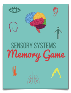 Sensory Systems Memory Game - Sensory Processing Explained