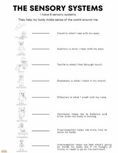 Sensory Processing Starter Kit (Digital Download) | Sensory Processing ...