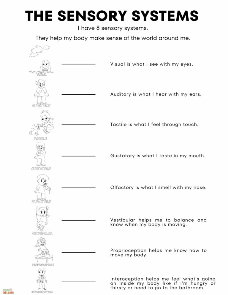 My Sensory Self Workbook – Digital Download - Sensory Processing Explained
