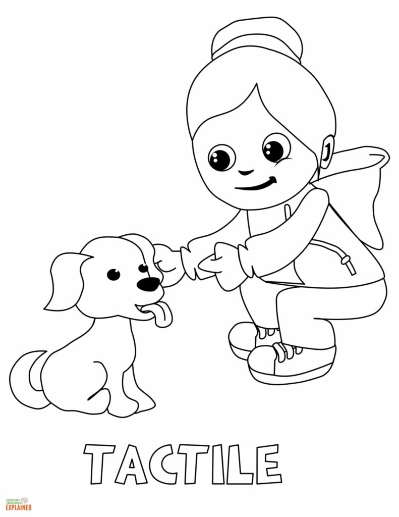 My Sensory Self Workbook – Digital Download - Sensory Processing Explained