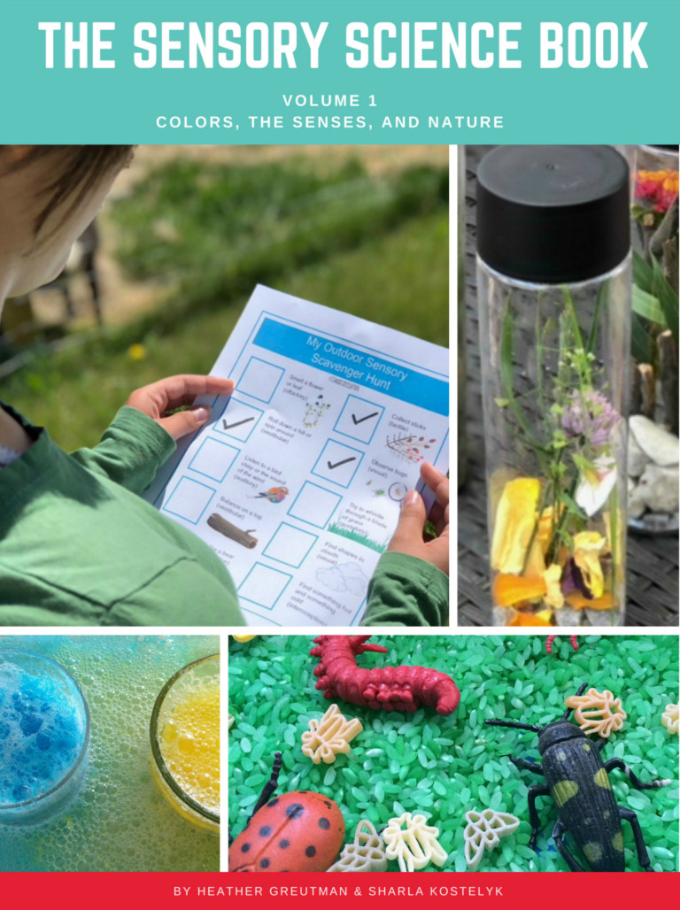 The Sensory Resource Collection - Sensory Processing Explained