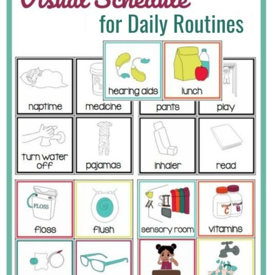 Visual Schedule For Daily Routines Sensory Processing Explained visual-schedule-for-daily-routines-sensory-processing-explained