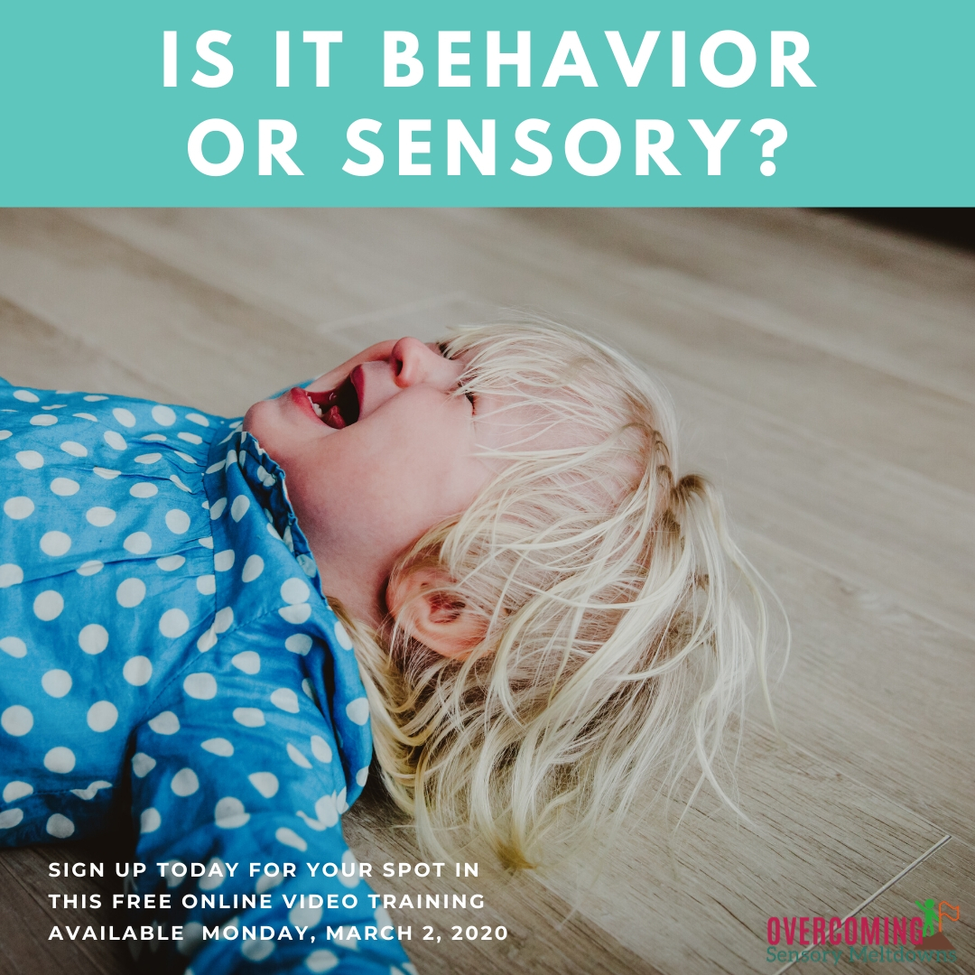 Save Your Seat - Behavior or Sensory Mini-Workshop