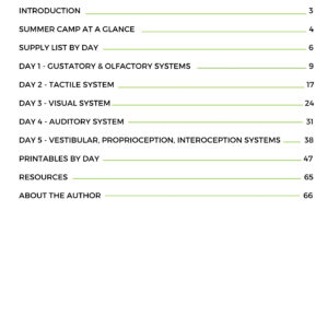 My Senses Day Camp Program - Sensory Processing Explained
