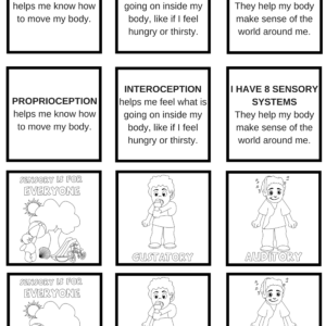 Sensory Systems Memory Game - Sensory Processing Explained