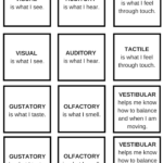 Sensory Systems Memory Game - Sensory Processing Explained