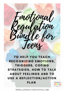 Emotional-Regulation-Bundle-for-Teens-Product-SaraAnderson - Sensory ...