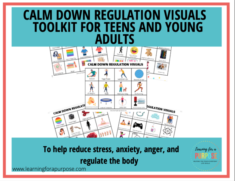Calm-Down-Regulation-Visuals-Toolkit-for-Teens-and-Young-Adults-Product ...