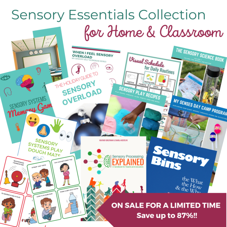 Sensory Essentials Collection for Home and Classroom - Sensory Processing Explained