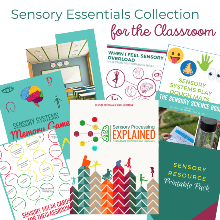 Sensory Essentials Collection for the Classroom - Sensory Processing Explained