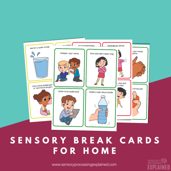 Sensory Essentials Collection